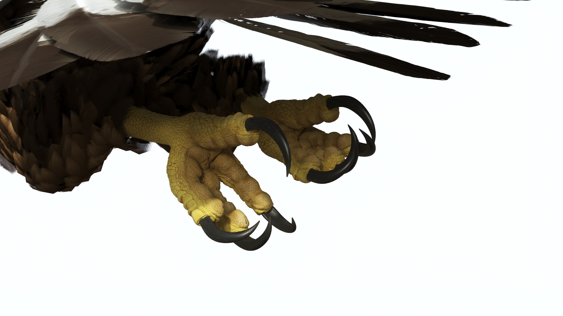 Realistic Golden Eagle Flying Model - TurboSquid 2249625