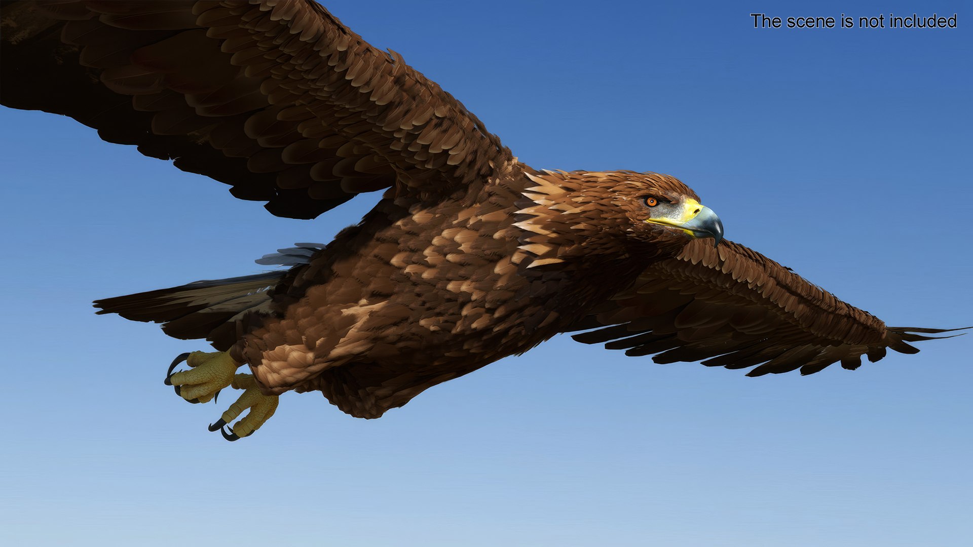 Realistic Golden Eagle Flying Model - TurboSquid 2249625
