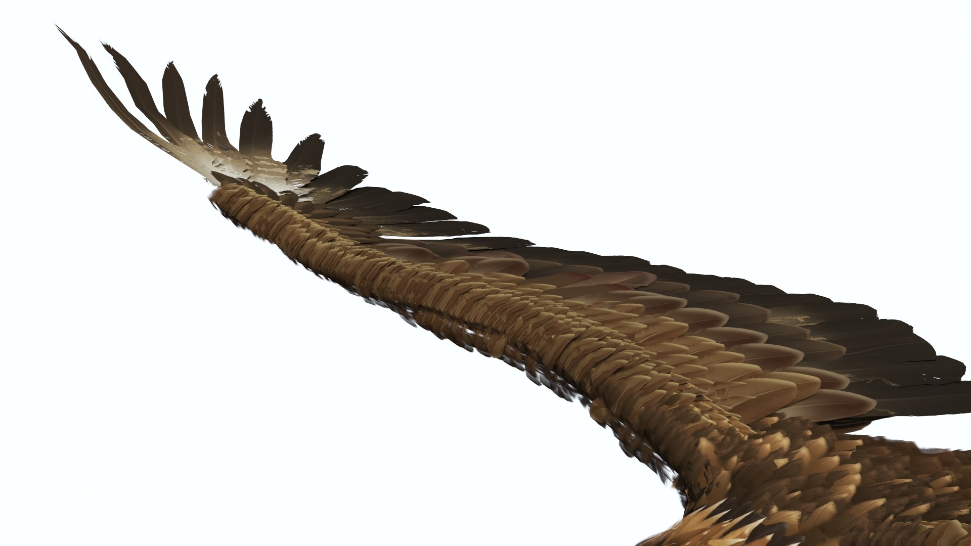 Realistic Golden Eagle Flying Model - TurboSquid 2249625