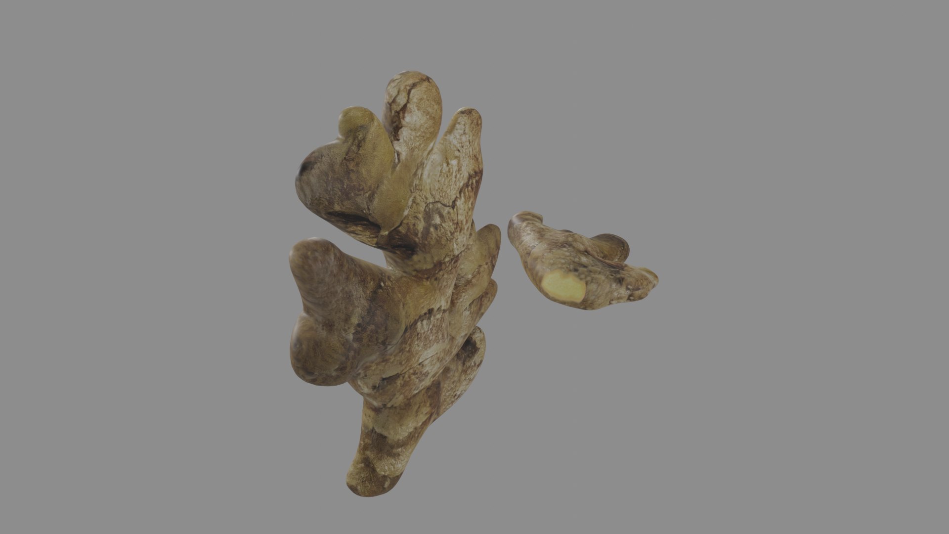 3D Ginger Sub Div1 Model - TurboSquid 2027695