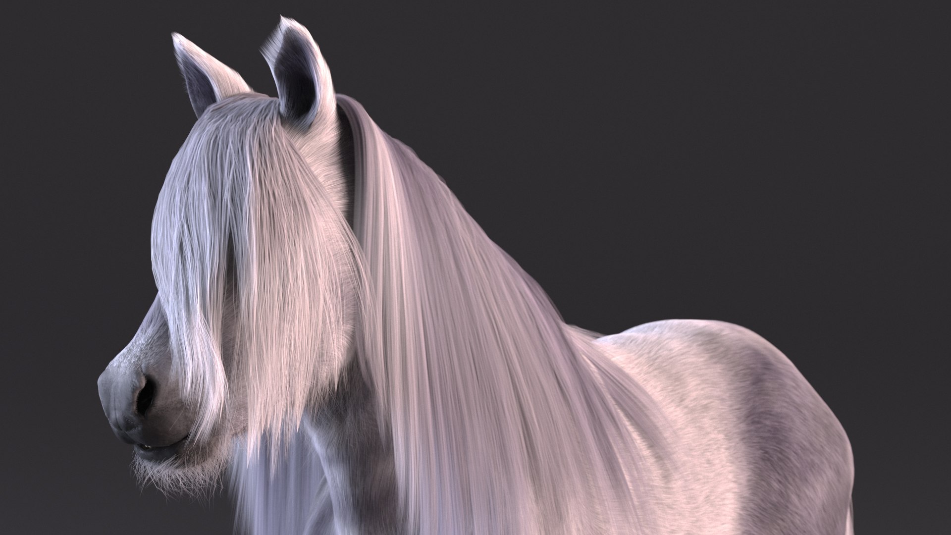 White Pony With Long Mane Fur 3D Model - TurboSquid 2234467