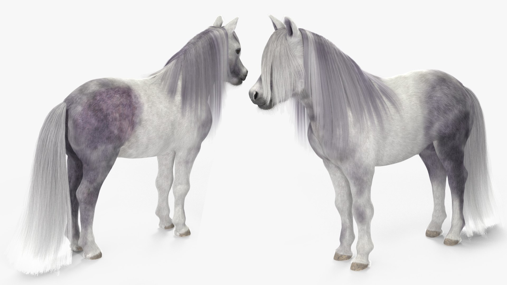 White Pony With Long Mane Fur 3D Model - TurboSquid 2234467