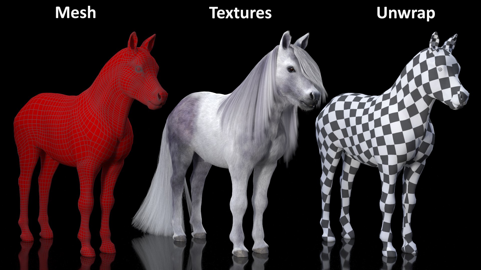 White Pony With Long Mane Fur 3D Model - TurboSquid 2234467