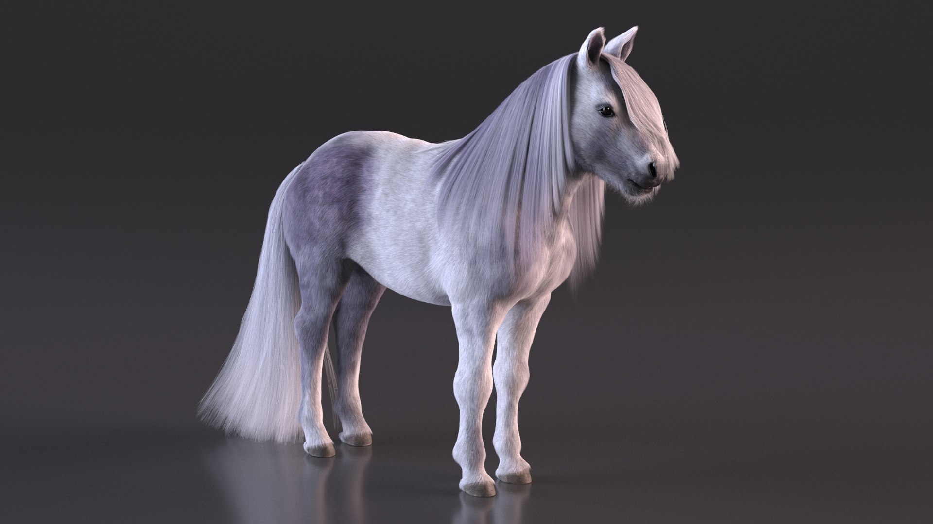 White Pony With Long Mane Fur 3D Model - TurboSquid 2234467