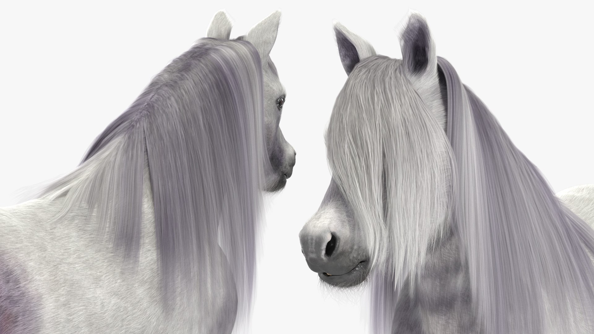 White Pony With Long Mane Fur 3D Model - TurboSquid 2234467