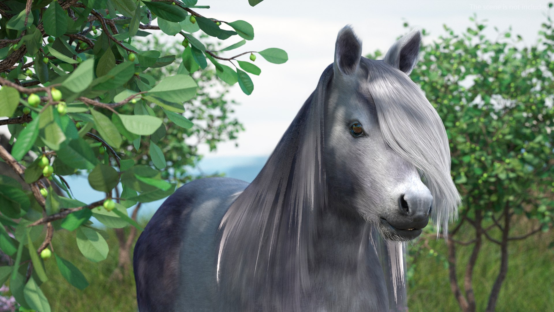 White Pony With Long Mane Fur 3D Model - TurboSquid 2234467
