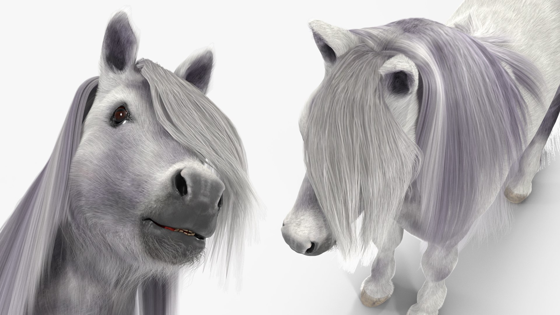 White Pony With Long Mane Fur 3D Model - TurboSquid 2234467