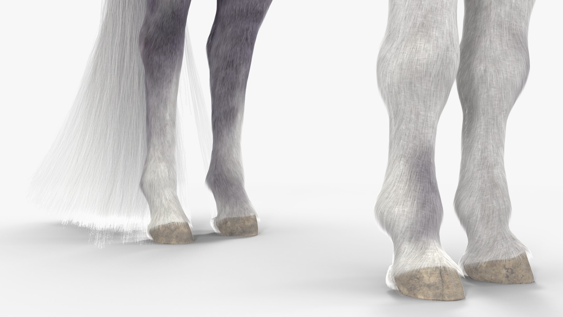 White Pony With Long Mane Fur 3D Model - TurboSquid 2234467