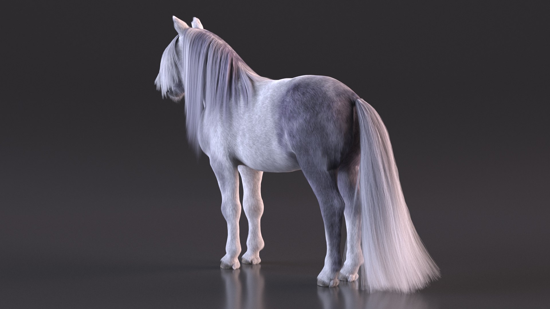 White Pony With Long Mane Fur 3D Model - TurboSquid 2234467