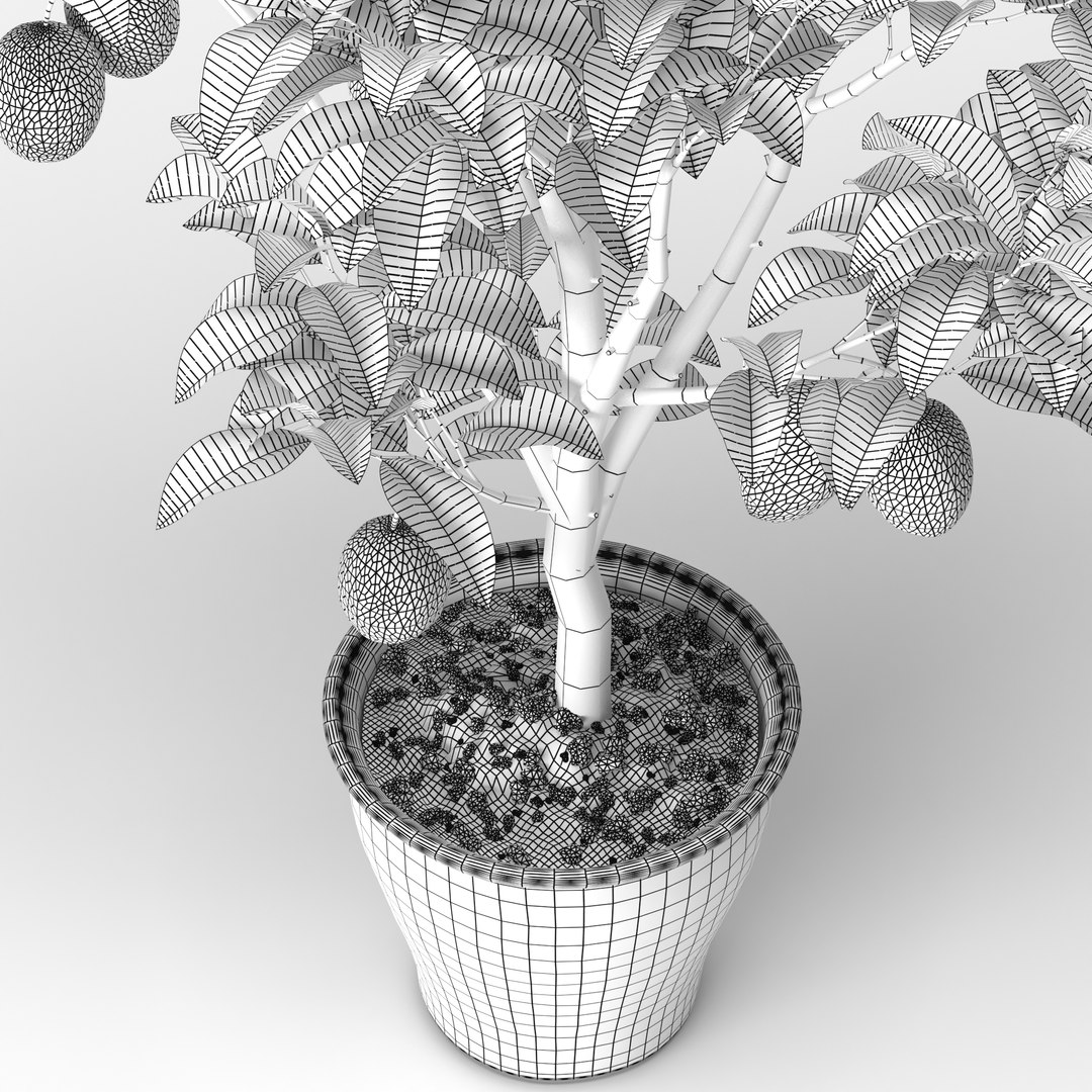 Lemon Tree 3D Model - TurboSquid 1588541