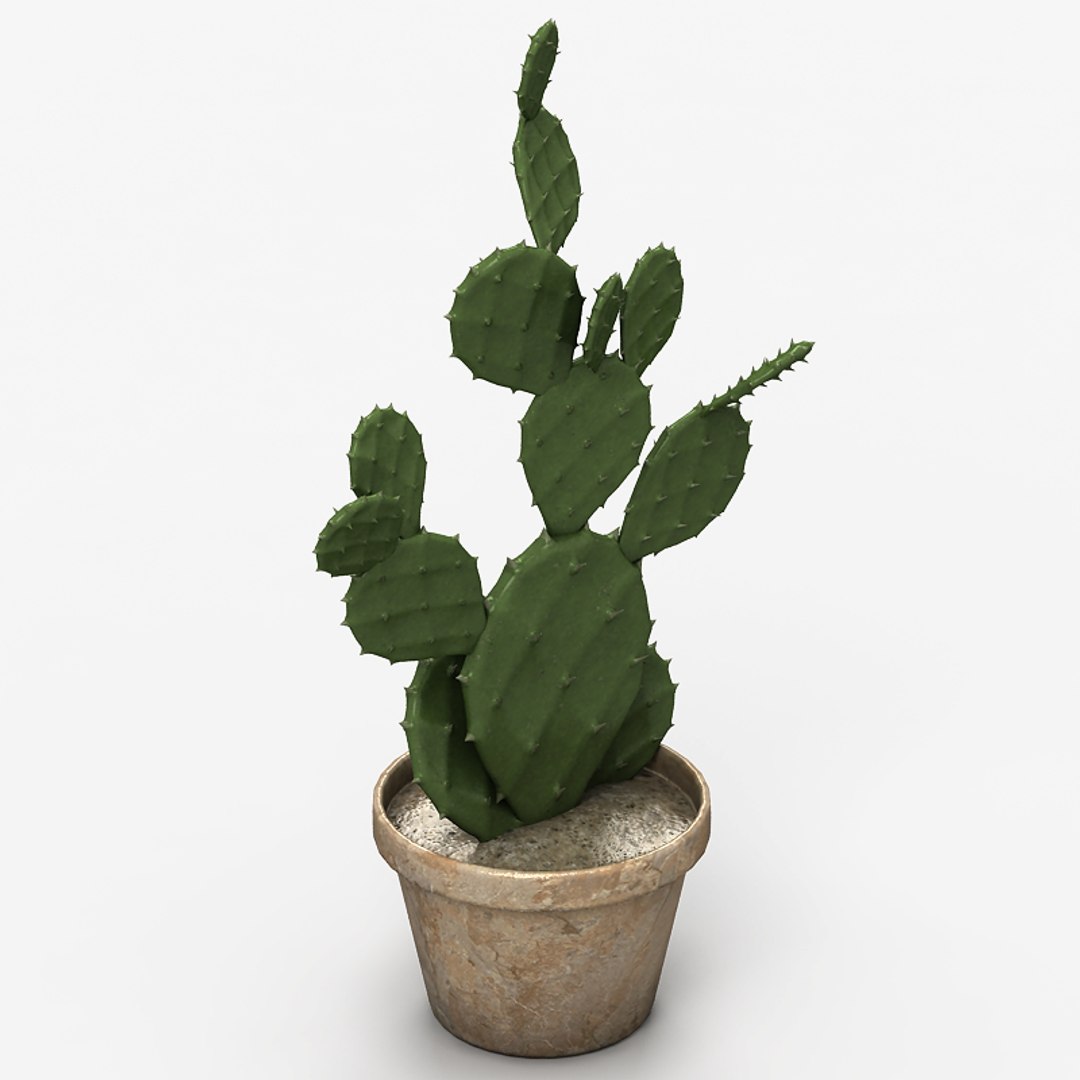 Max Realistic Cactus