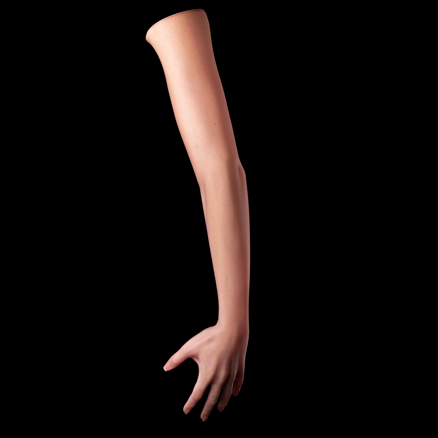 3dsmax female arm