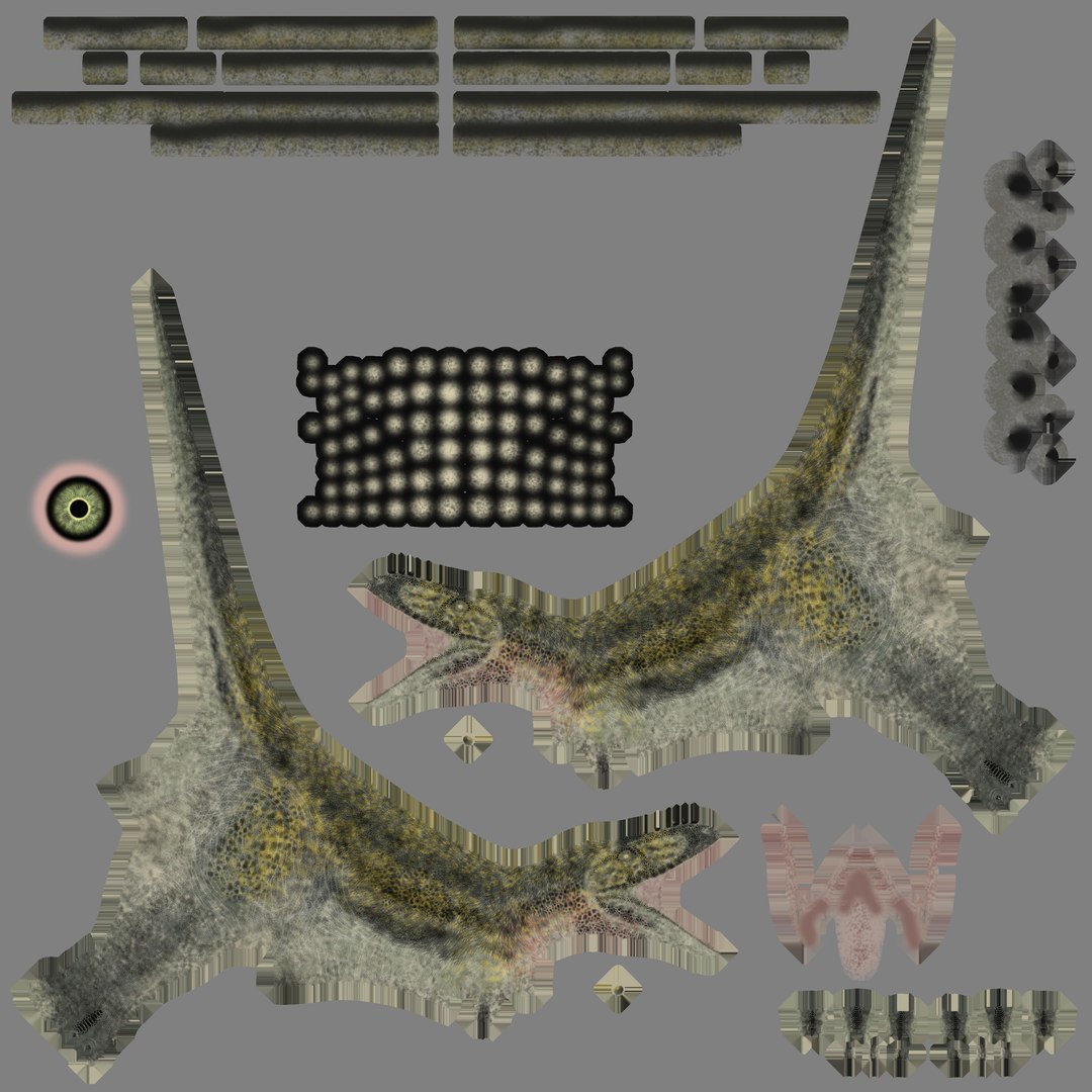 3D Alioramus Dinosaur Model - TurboSquid 2408873