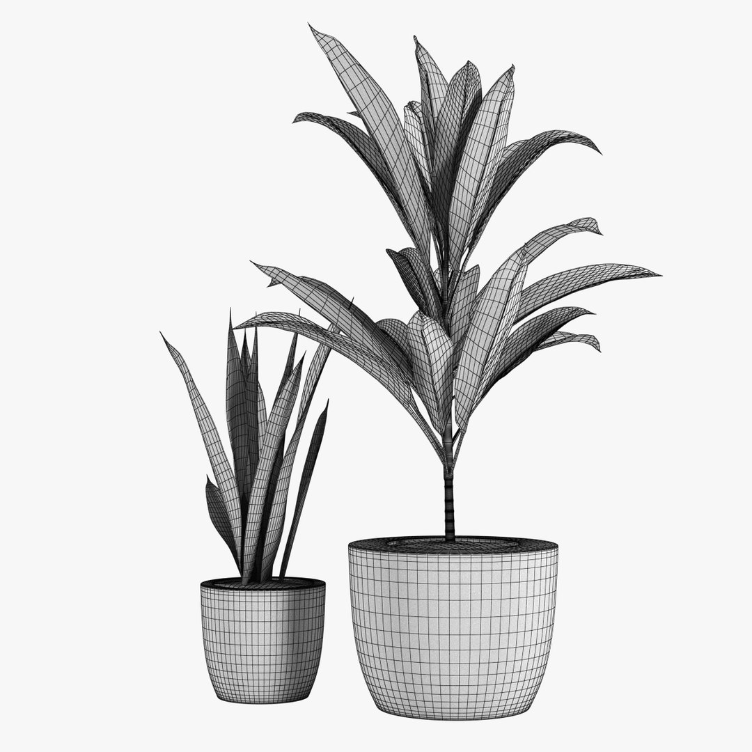 3D Plant Pot Model - TurboSquid 1227979