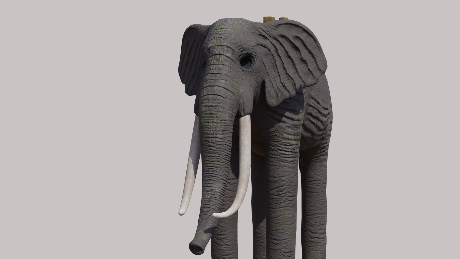 3D Model Zunesha - TurboSquid 1896373