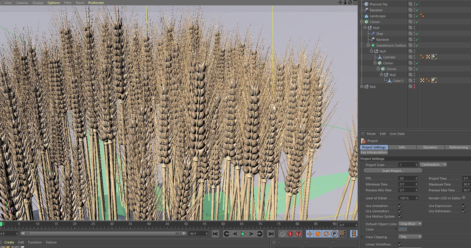 3D Wheat Crop Eat Model - TurboSquid 1548357