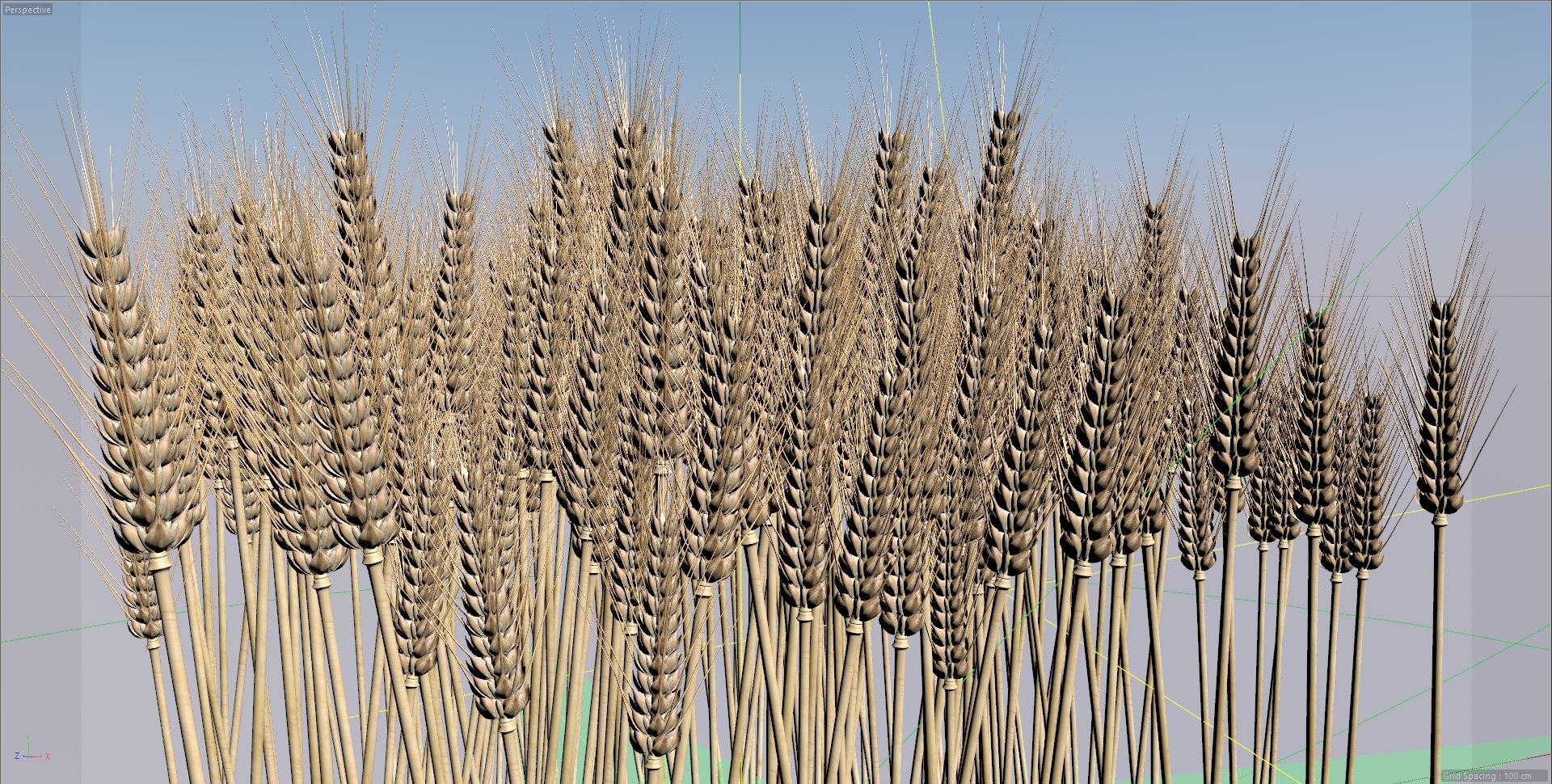 3D Wheat Crop Eat Model - TurboSquid 1548357