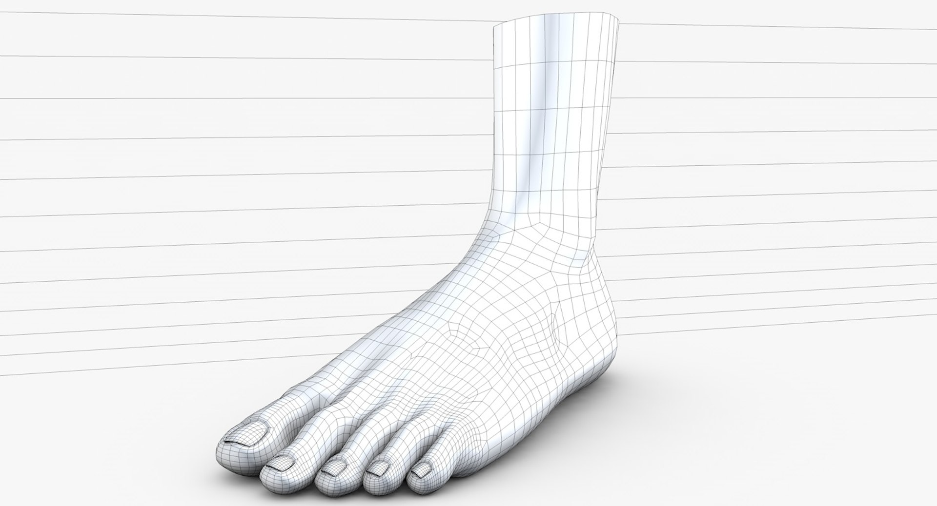 Human Foot Model - TurboSquid 1215190