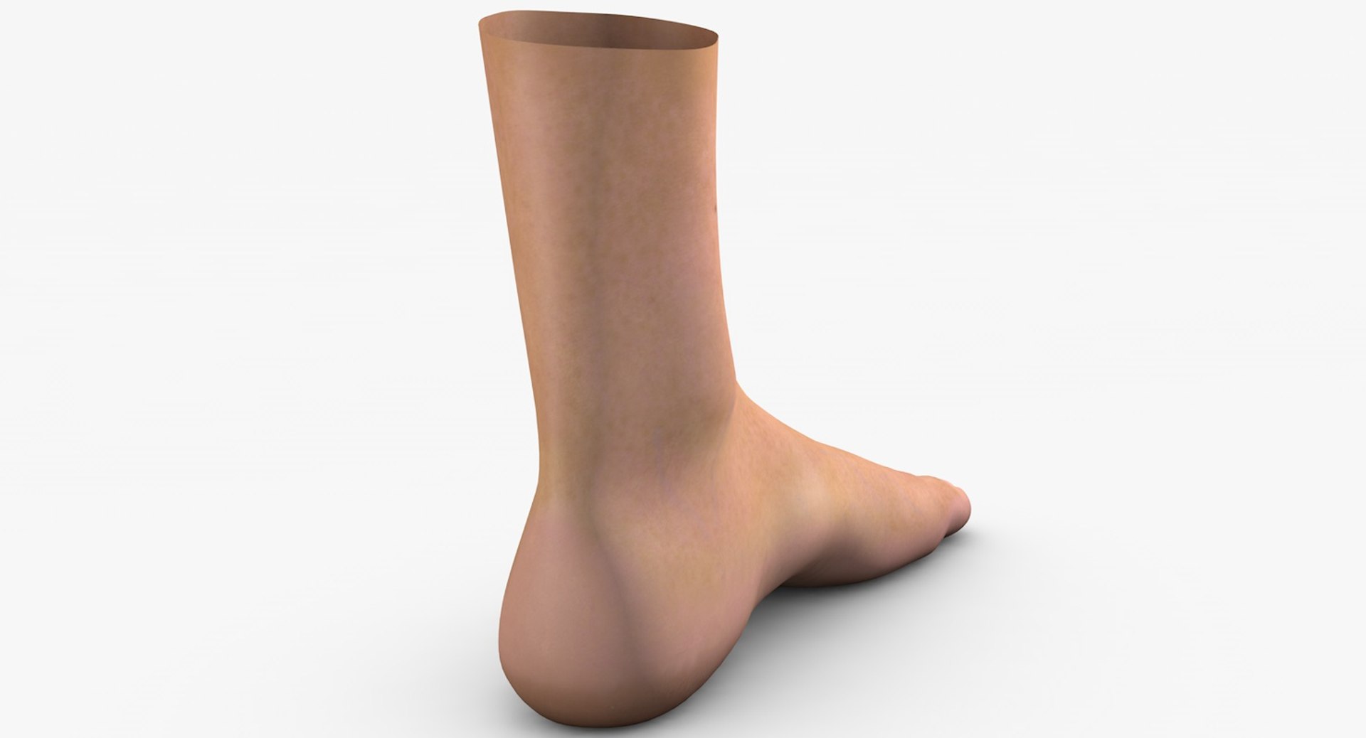 Human Foot Model - TurboSquid 1215190