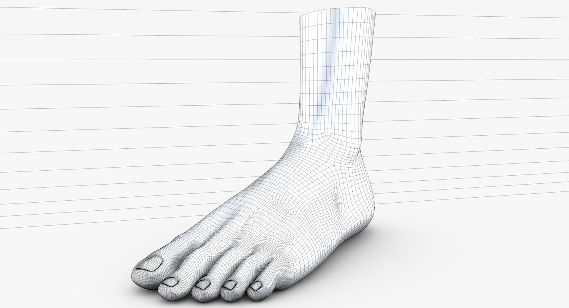 Human Foot Model - TurboSquid 1215190