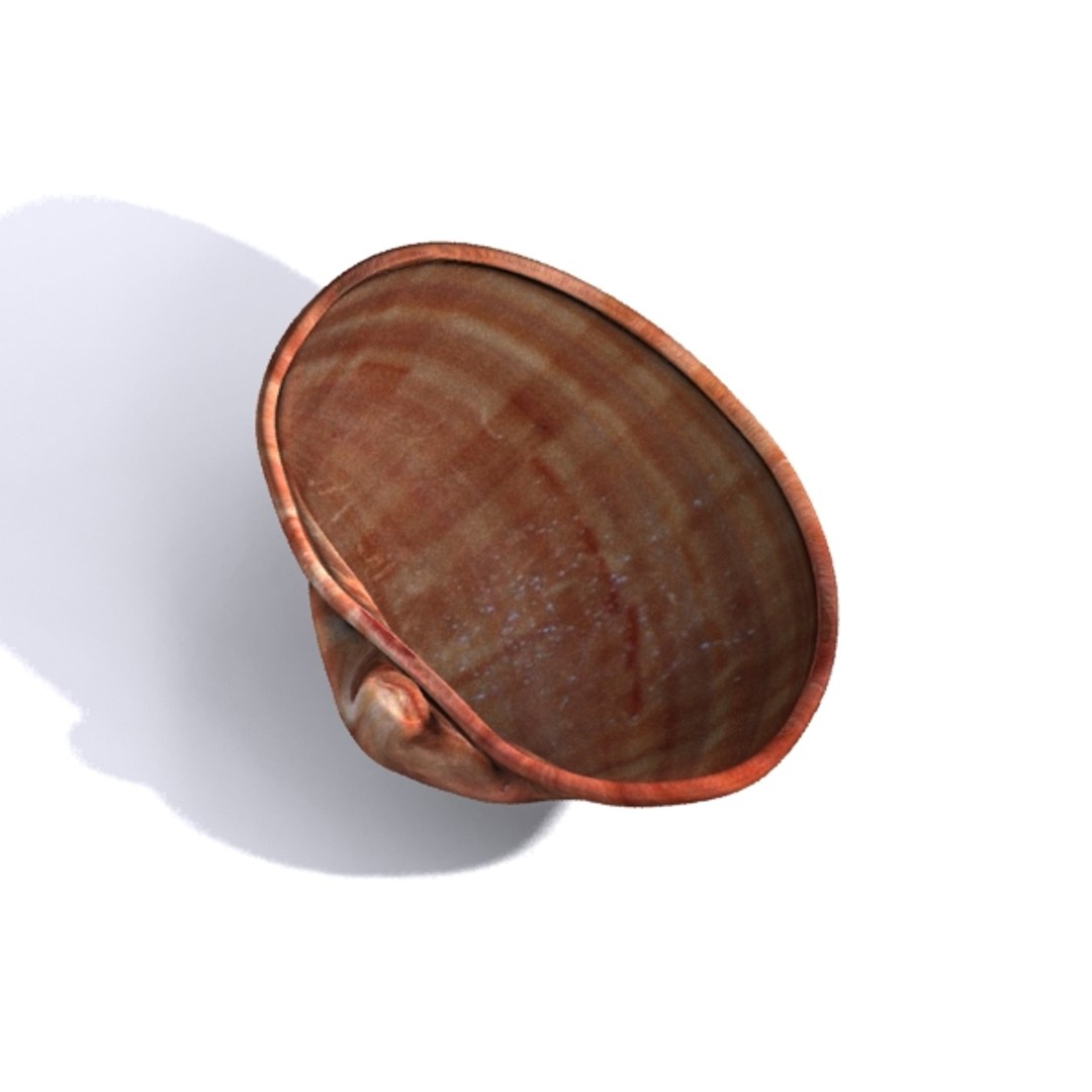 smooth shell 3d max