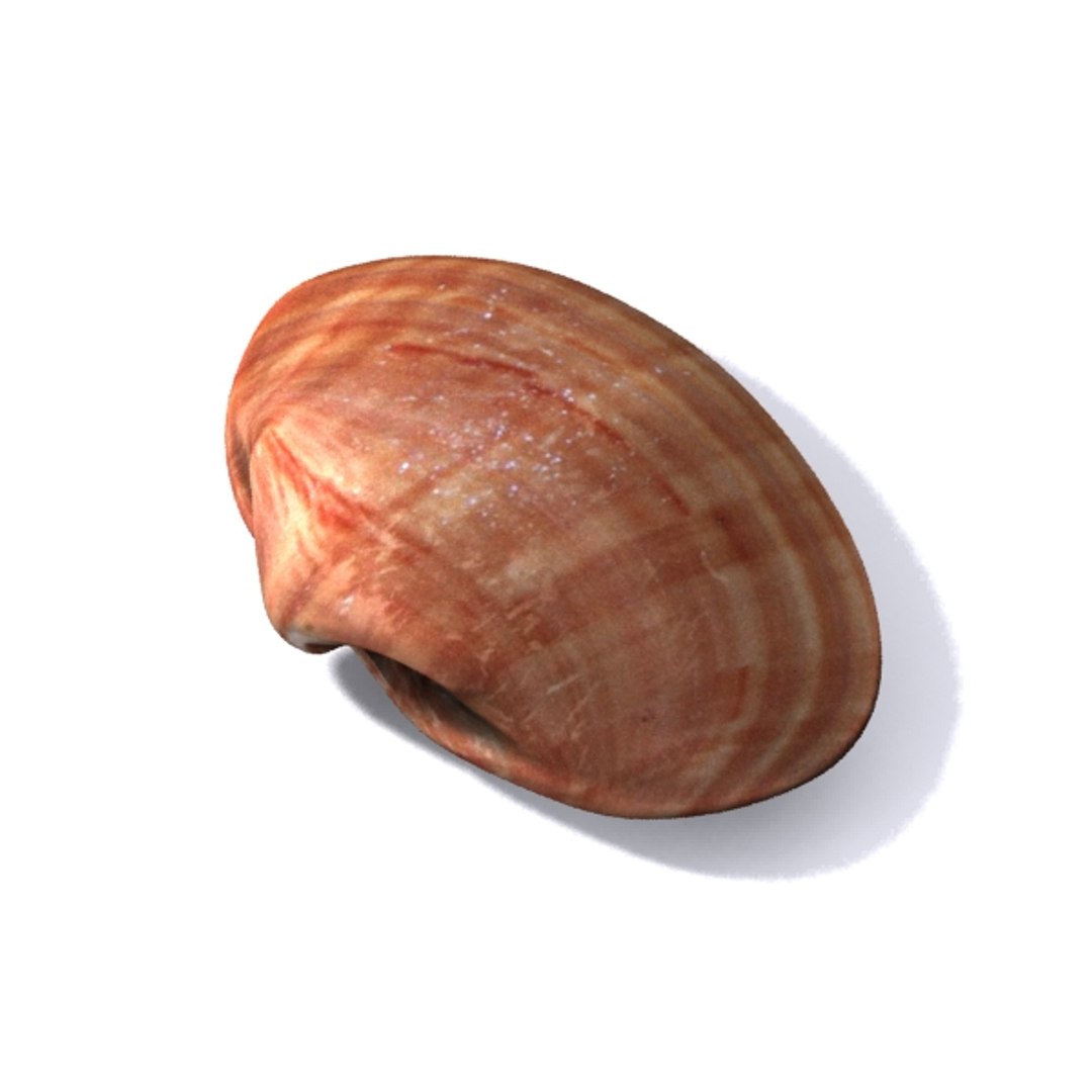 smooth shell 3d max