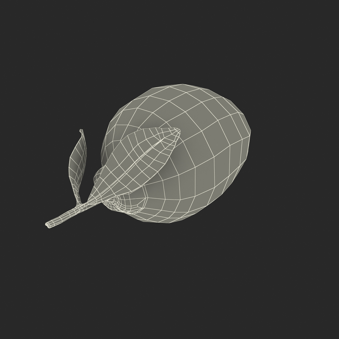 Citrus Fruits Collection 2 3D Model - TurboSquid 1880041