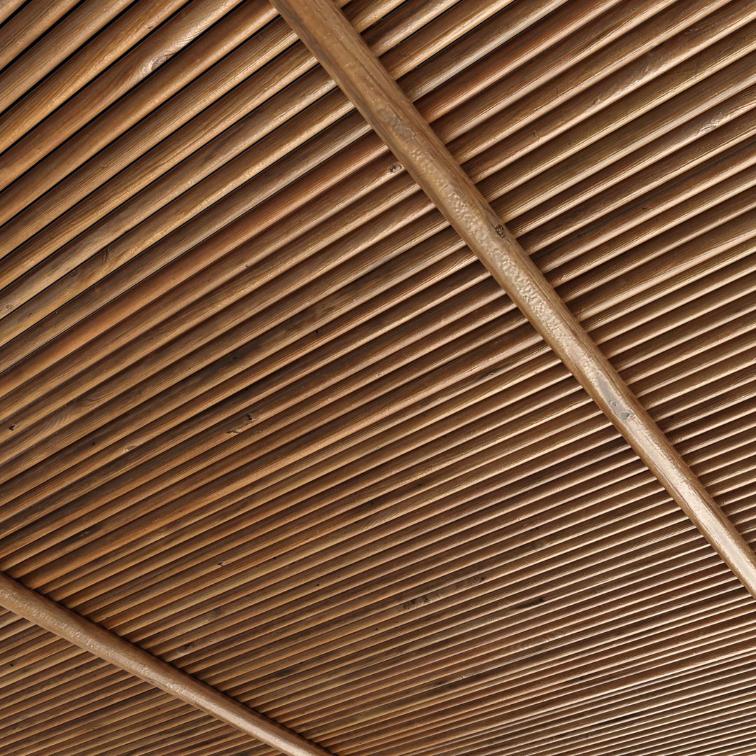 3D Ceiling Straight Thin Branch N5 - TurboSquid 1939643