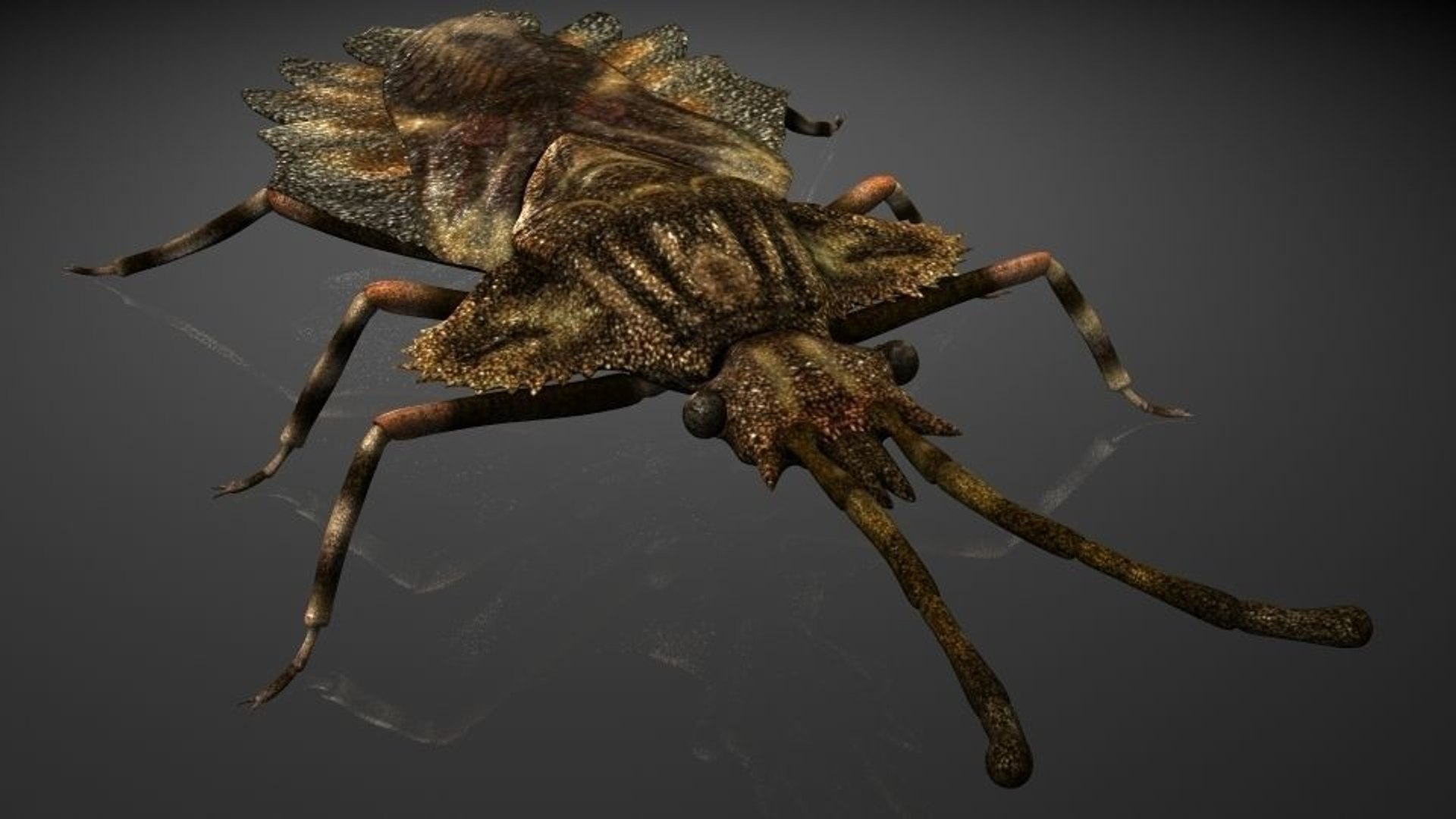3D insect model - TurboSquid 1214932