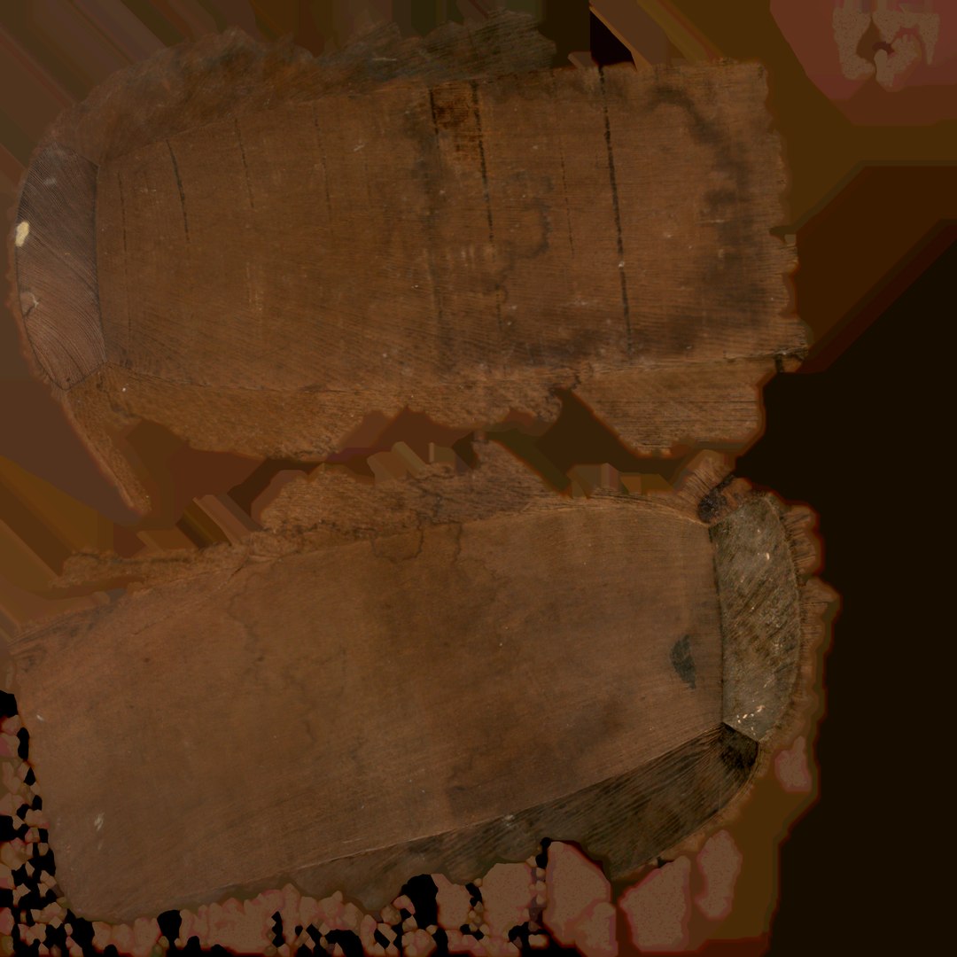 White Wood Piece 3D Model - TurboSquid 1694144