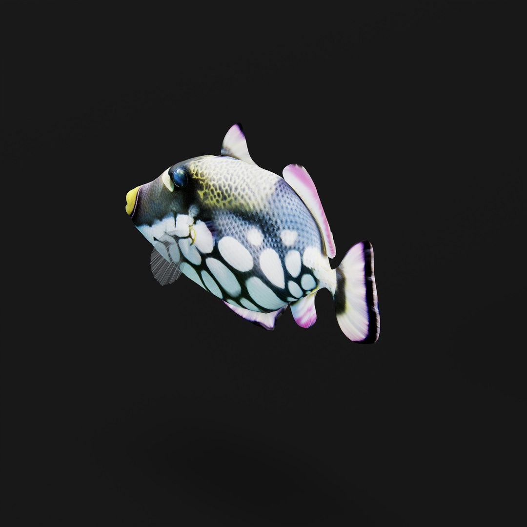 3D Clown Triggerfish - TurboSquid 2388626