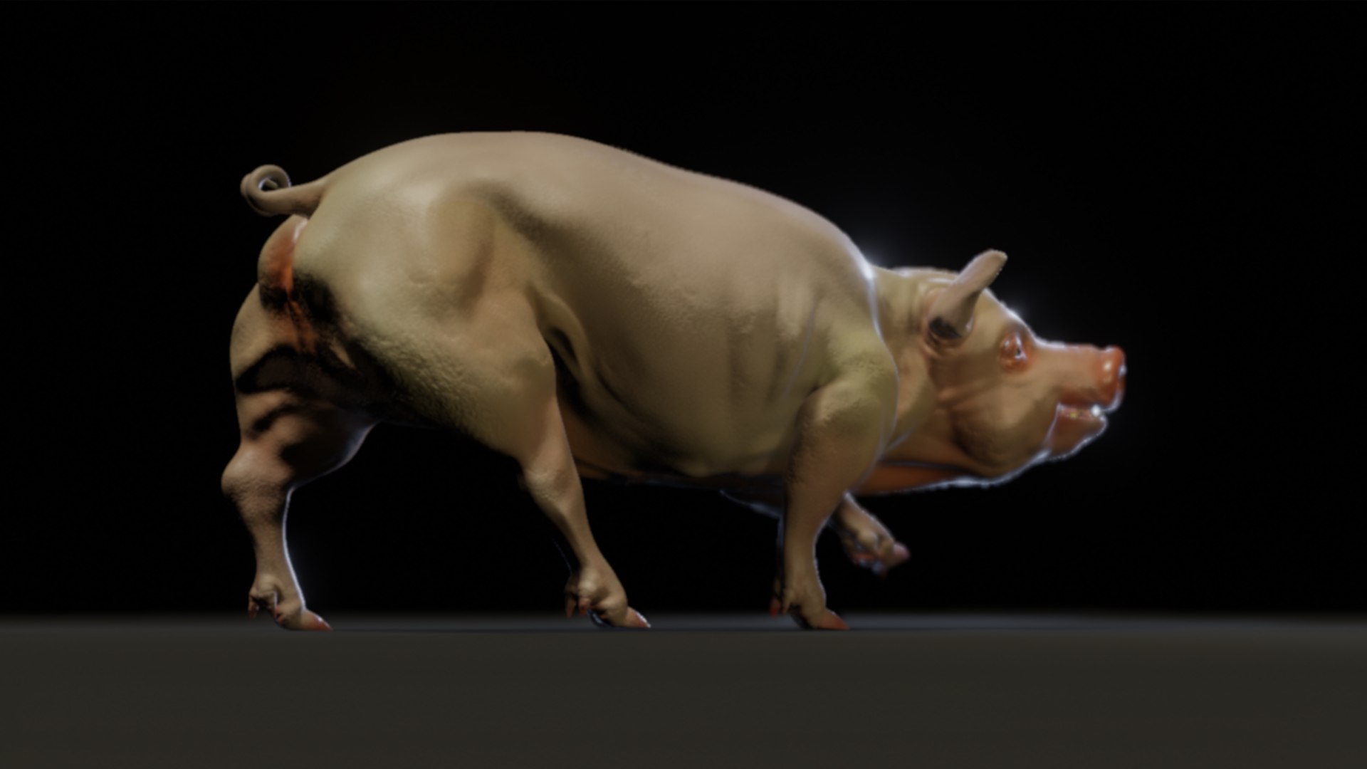 Pig fur model - TurboSquid 1336149