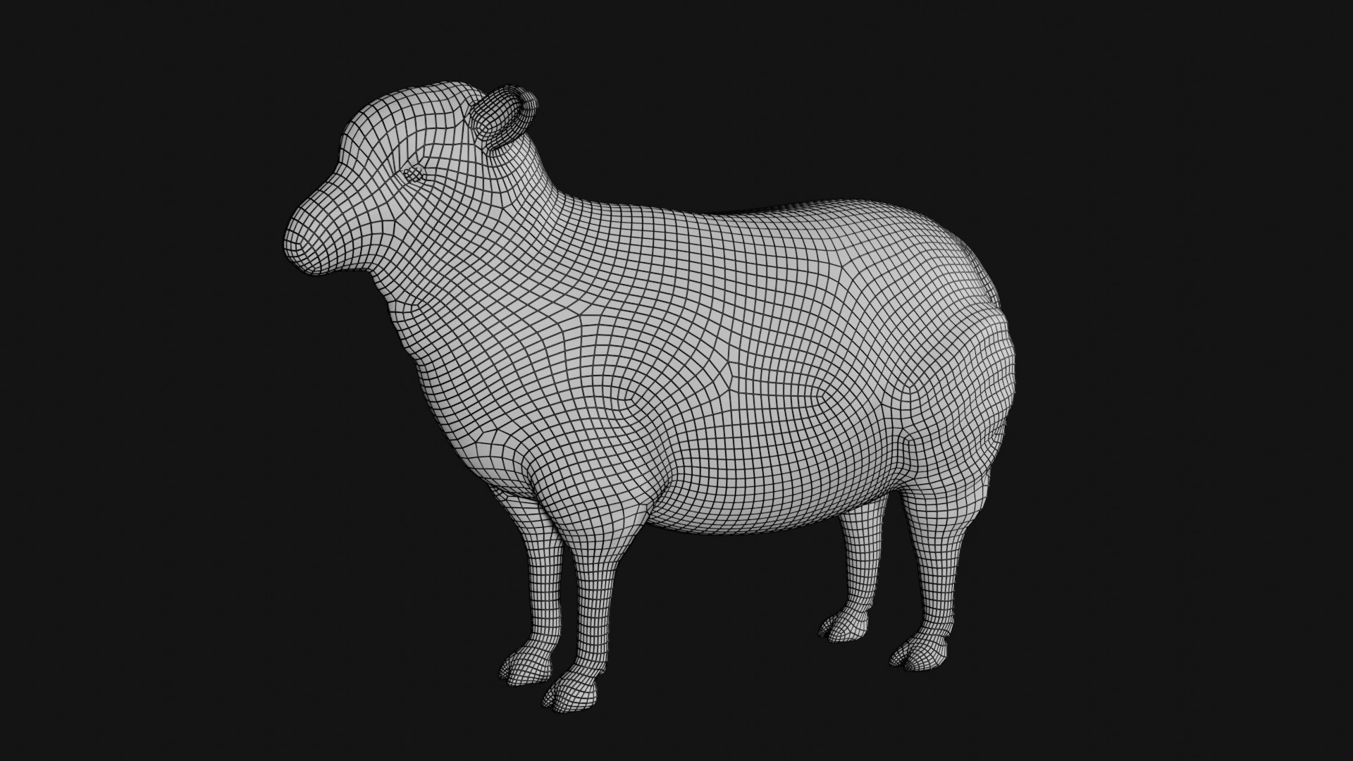 3D Model Fully Rigged Low Poly Sheep - TurboSquid 1757084