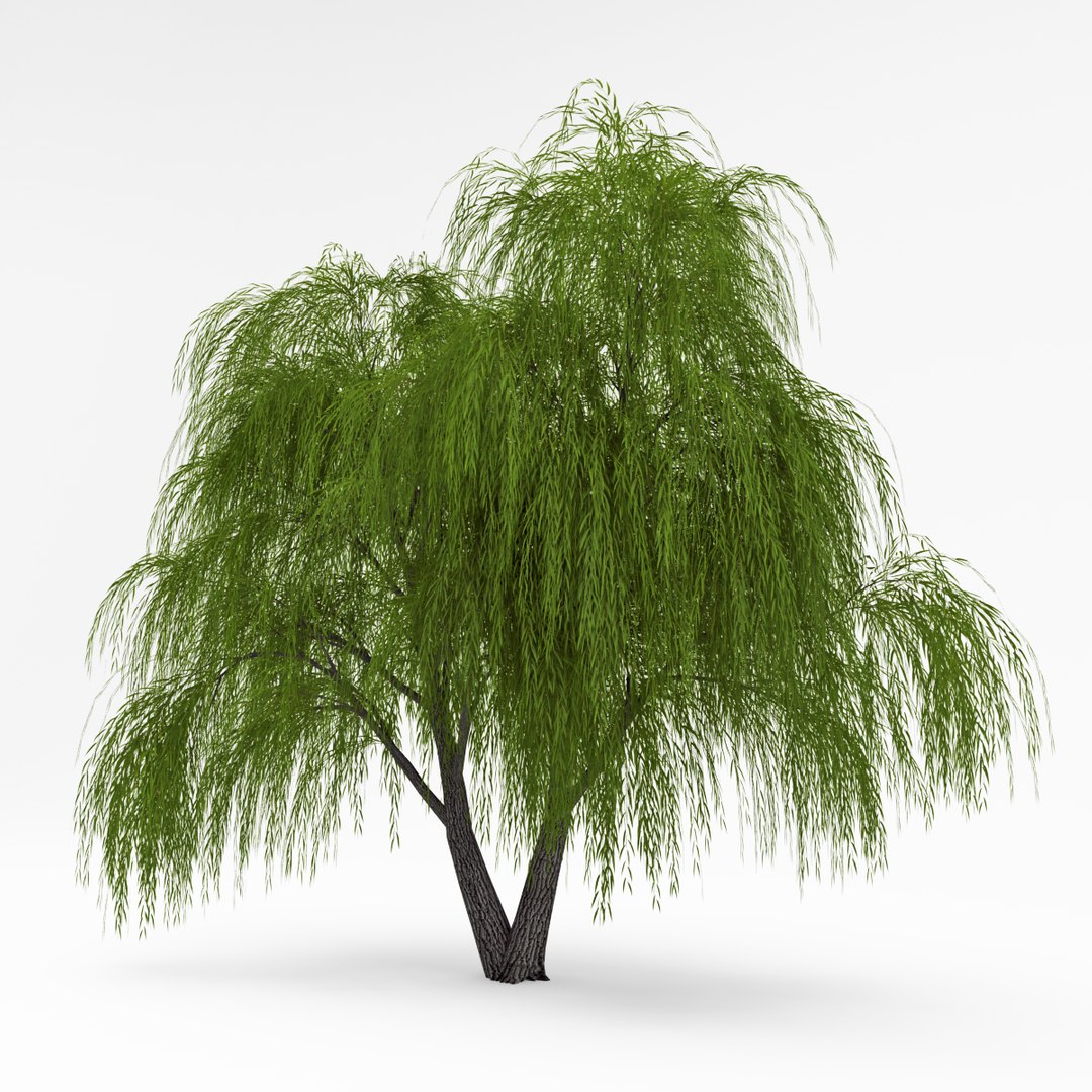 3d Deciduous 038 Model