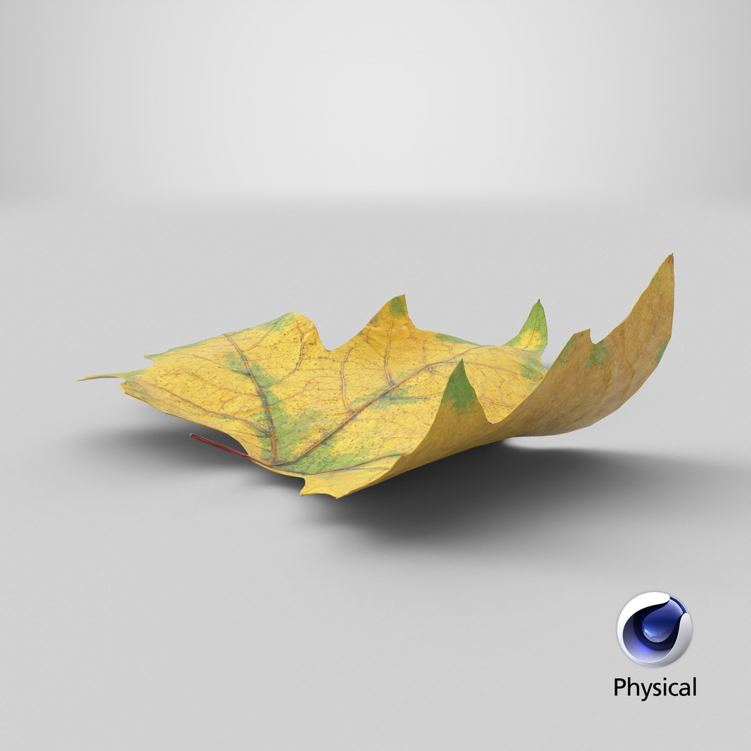 3D Prop Autumn Leaves Type 07 - TurboSquid 2151104