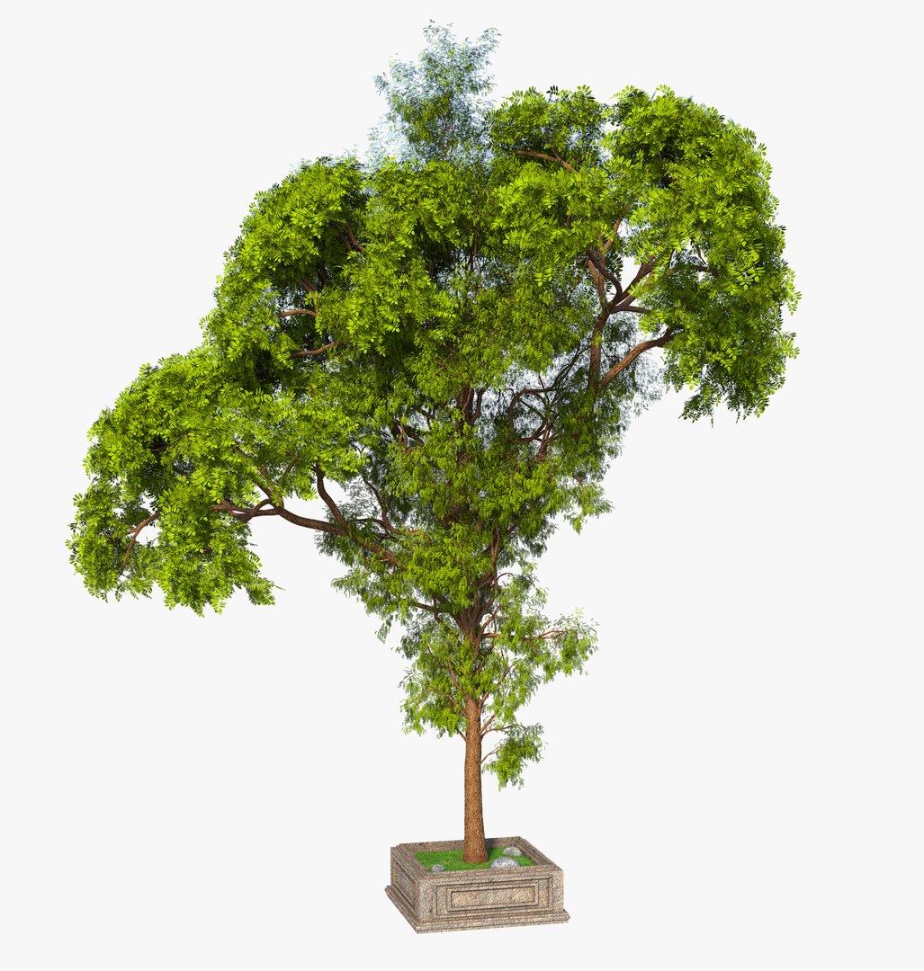 Tree Nature 3D Model - TurboSquid 1399756