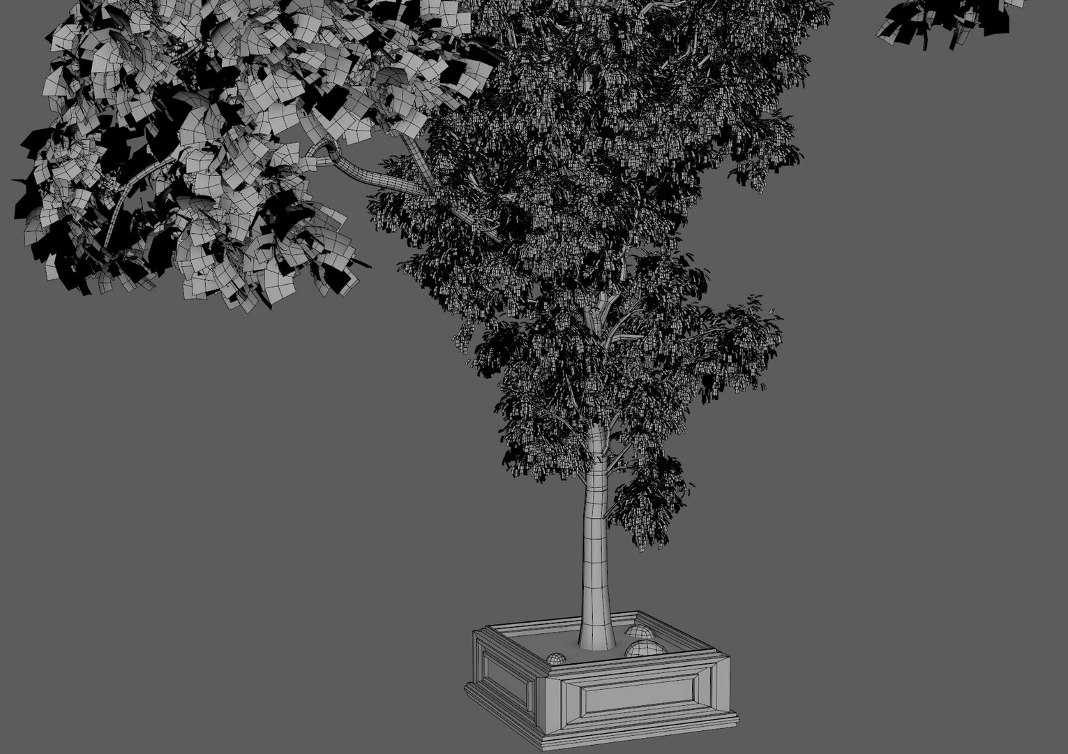 Tree Nature 3D Model - TurboSquid 1399756
