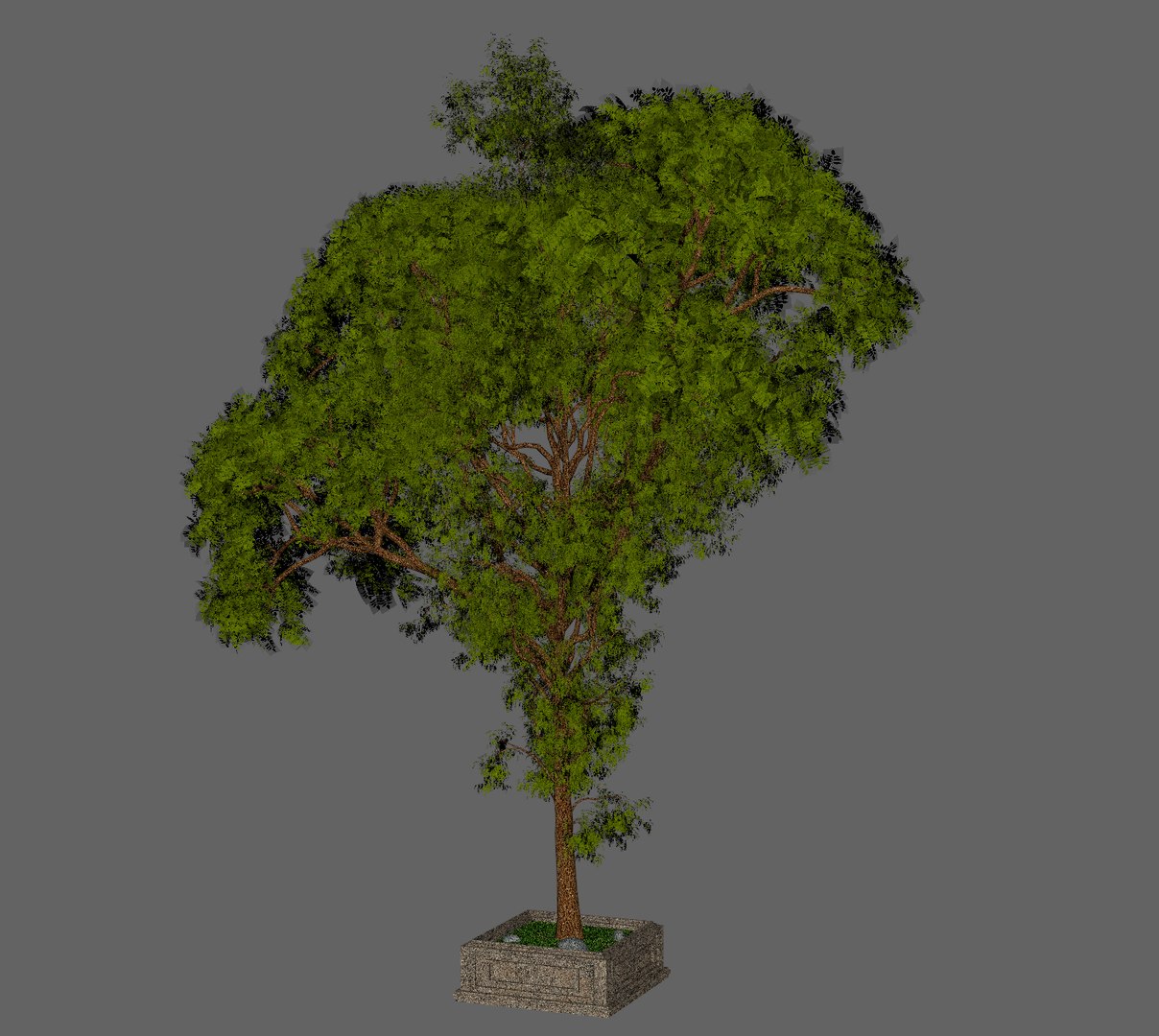 Tree Nature 3D Model - TurboSquid 1399756