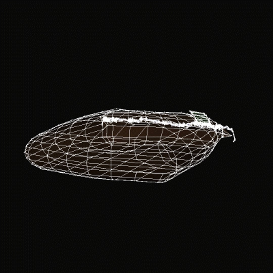 3d Model Of Feed Sack Zipped