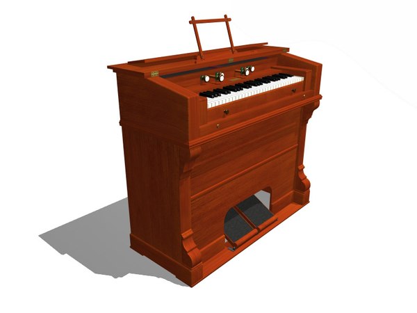 Free 3d Organ Models Turbosquid