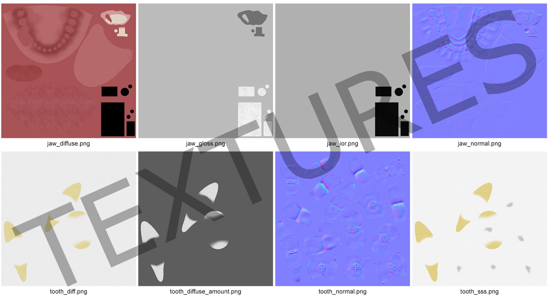 Lower teeth medical dental 3D model - TurboSquid 1428835