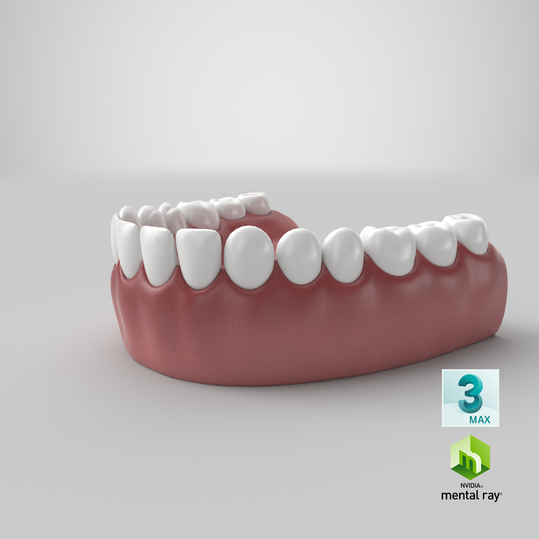 Lower teeth medical dental 3D model - TurboSquid 1428835