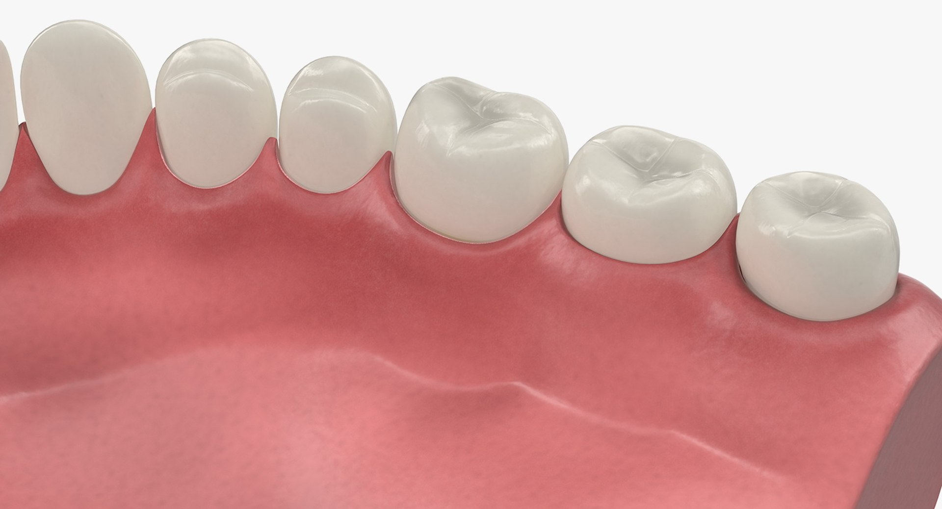 Lower teeth medical dental 3D model - TurboSquid 1428835