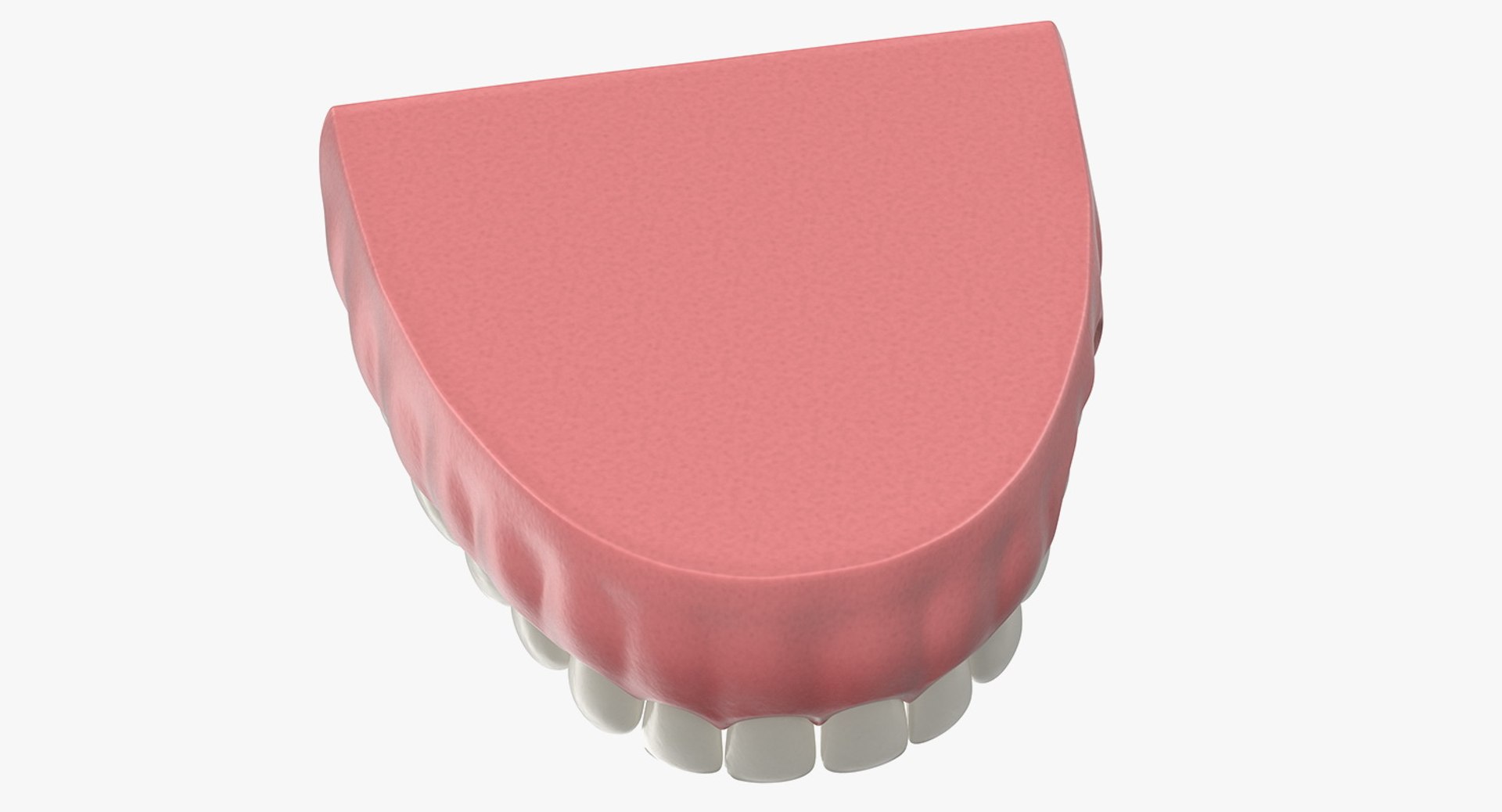 Lower teeth medical dental 3D model - TurboSquid 1428835