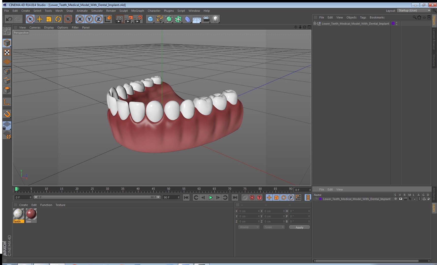 Lower teeth medical dental 3D model - TurboSquid 1428835