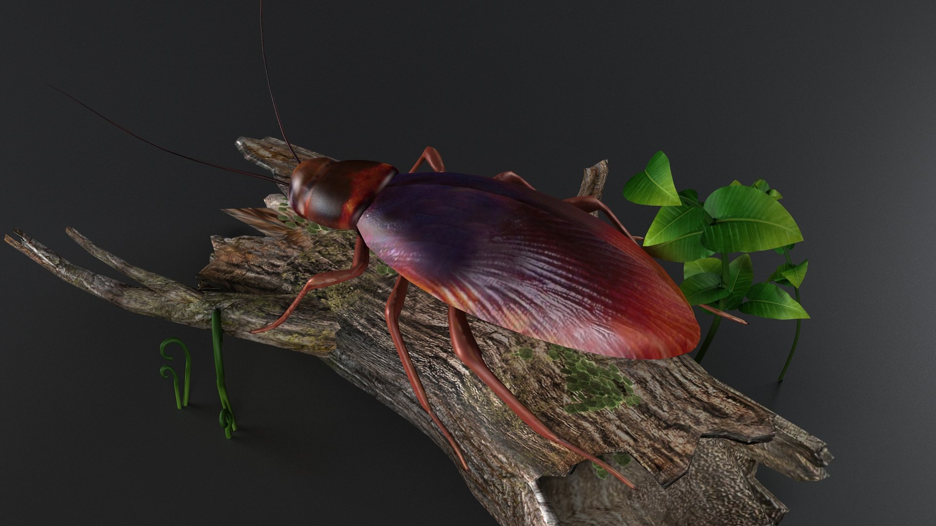 Gameready Cockroach Insect Roach Bug Beetle Pest Vermin 3D Model ...