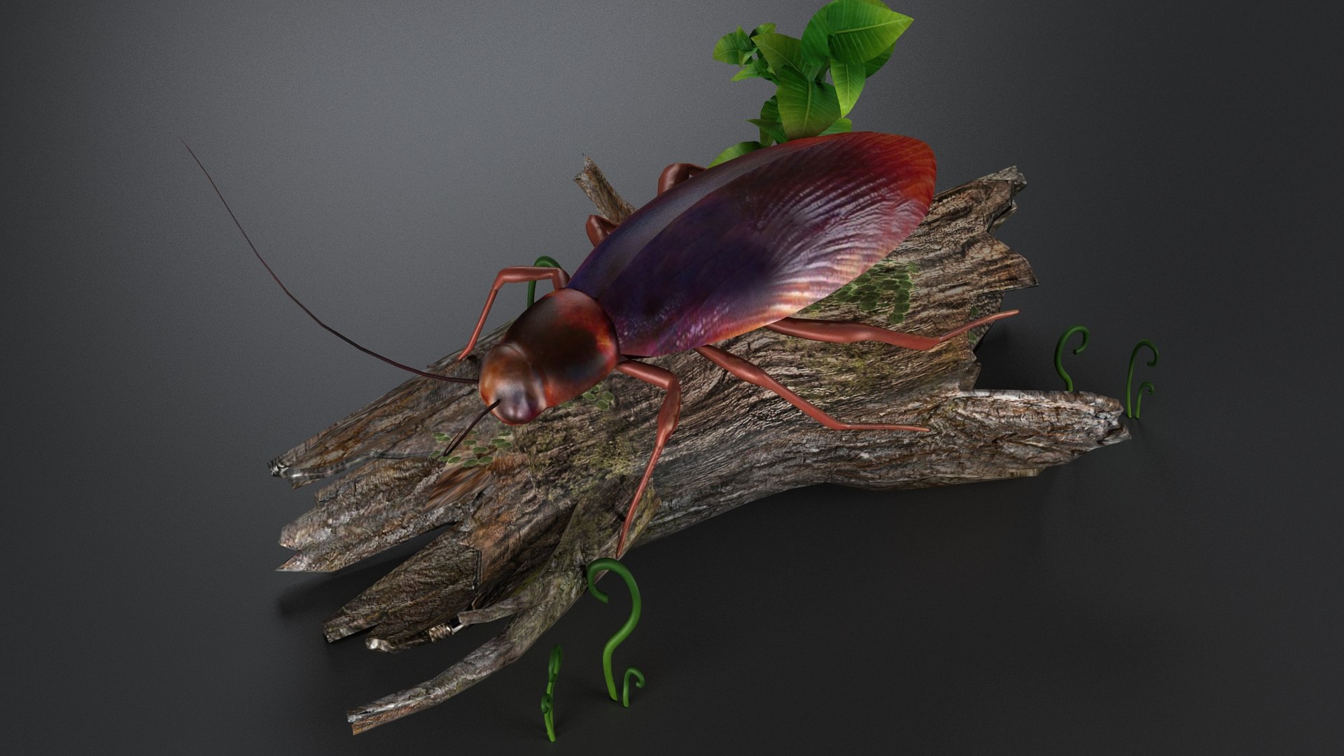 Gameready Cockroach Insect Roach Bug Beetle Pest Vermin 3D Model ...