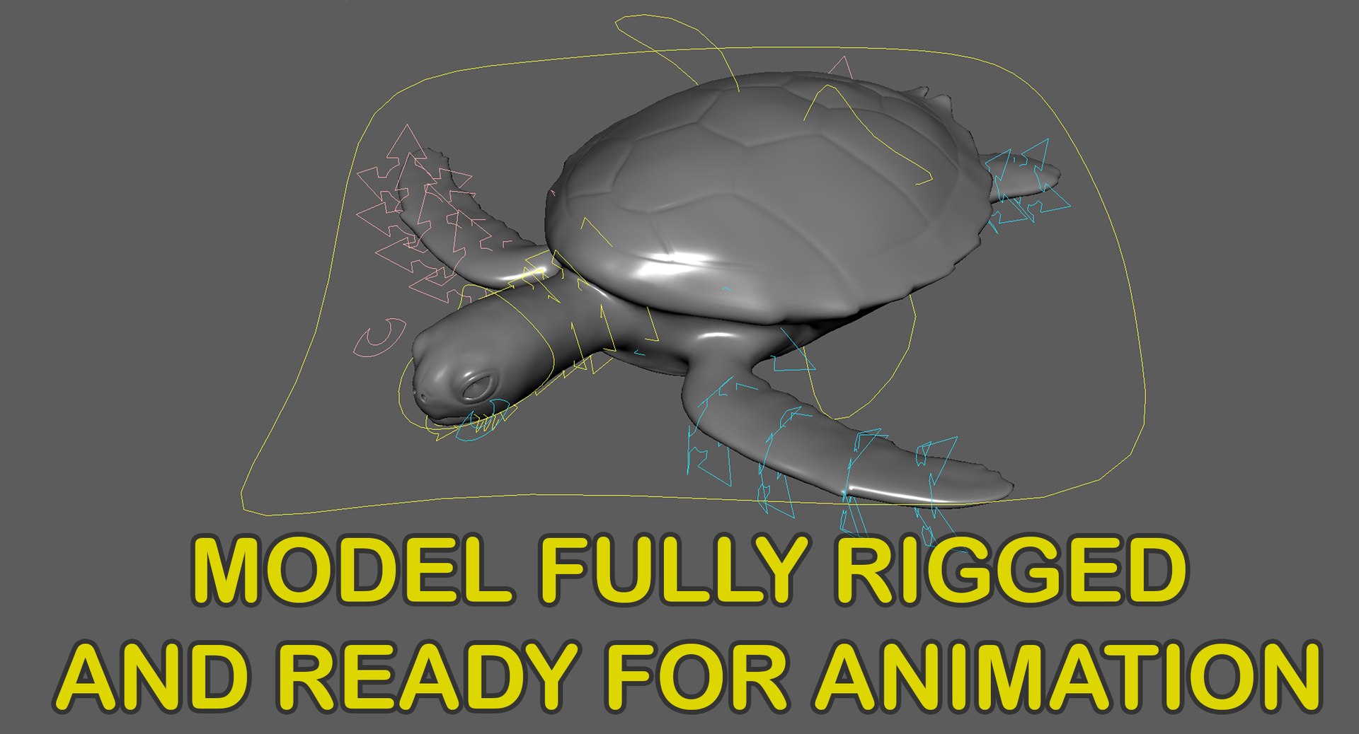 3D Model Green Sea Turtle Animation - TurboSquid 1409891