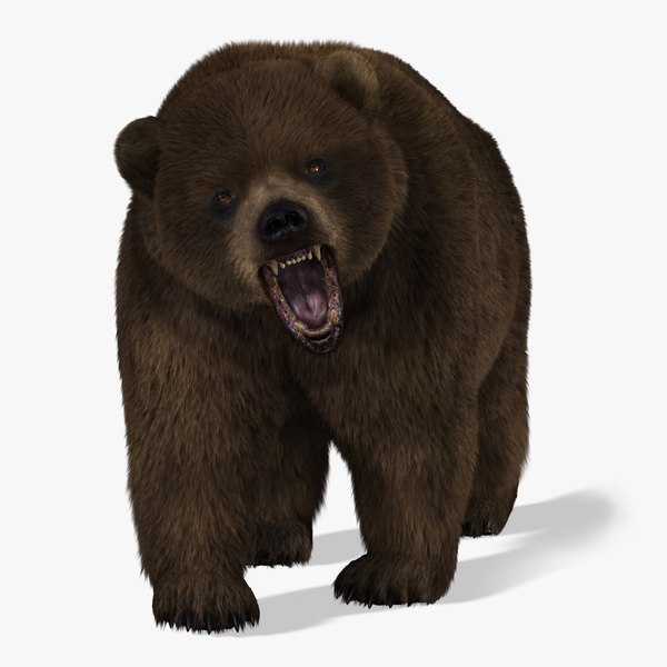 Bear 3D Models for Download | TurboSquid