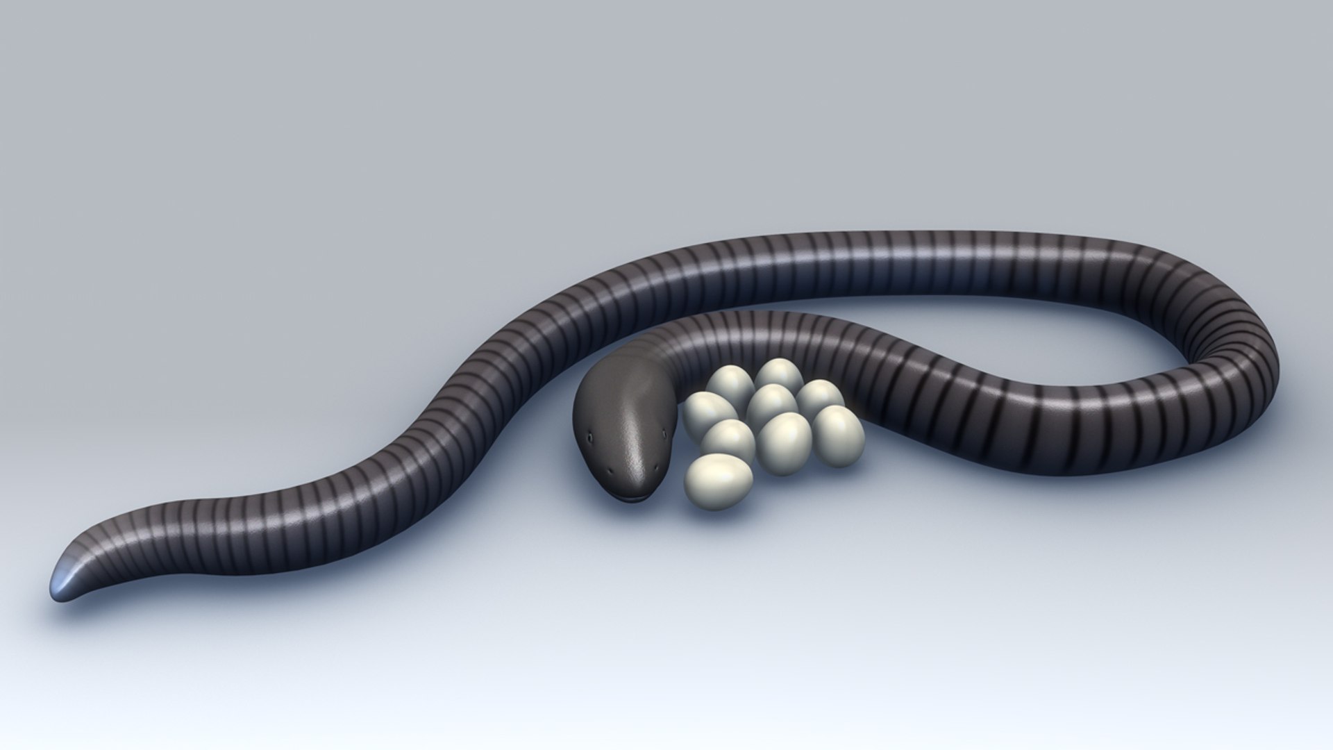 maya ichthyophis glutinosa female